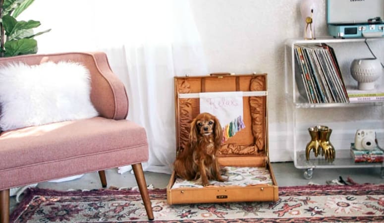 DIY Suitcase Dog Bed - at home with Ashley