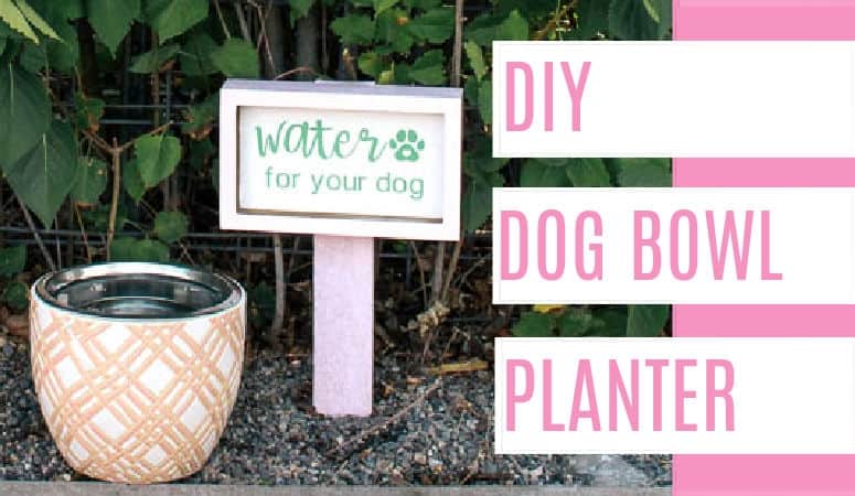 DIY Dog Bowl Planter - at home with Ashley
